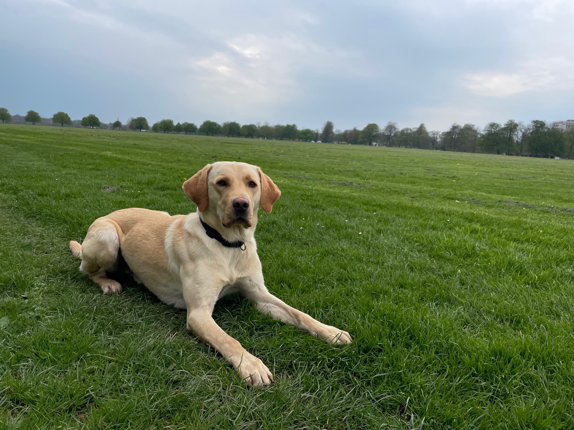 What have we done? - Andrew Gray